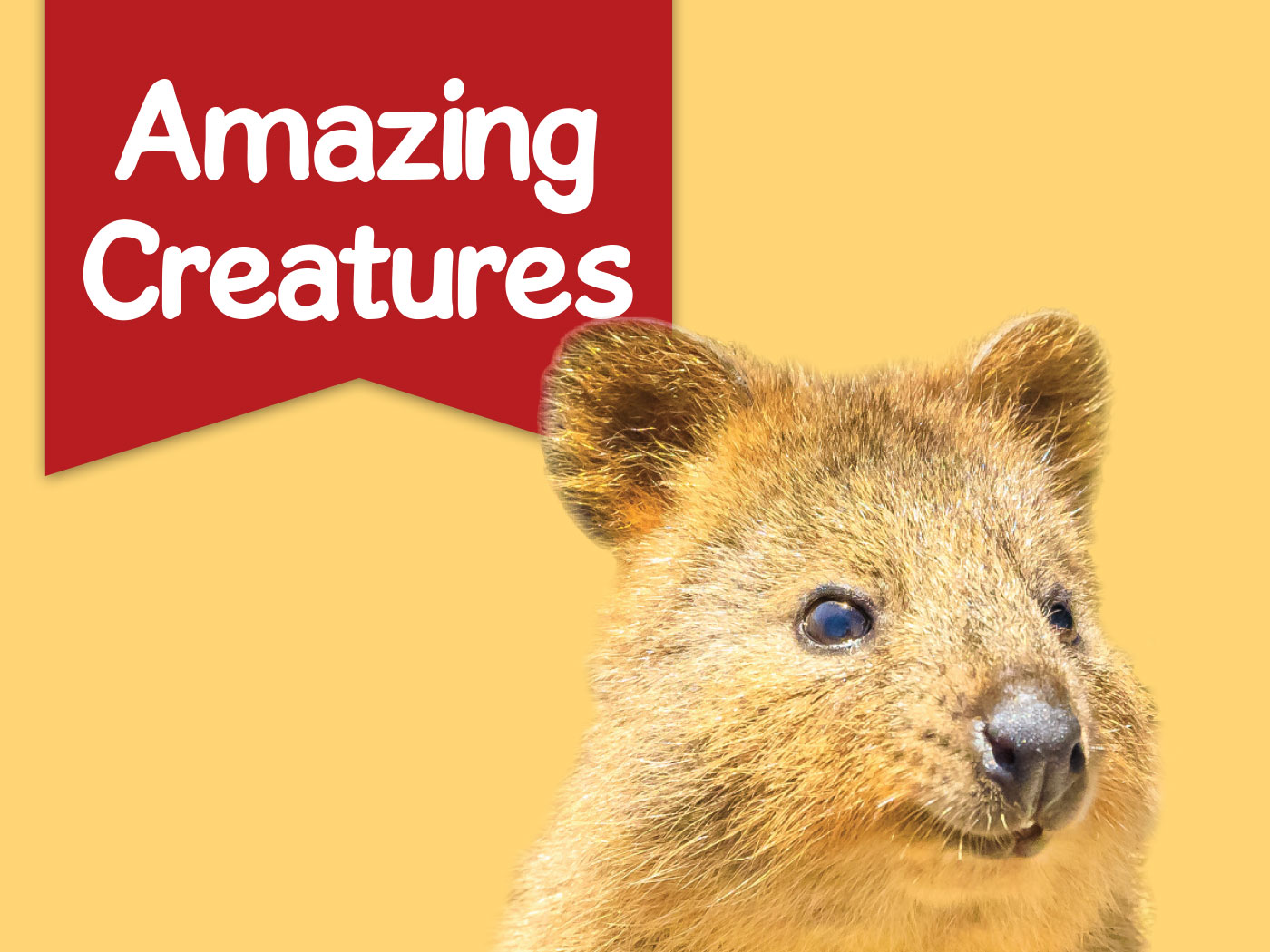 Kids Edition 2022: Amazing Creatures | The Institute for Creation Research